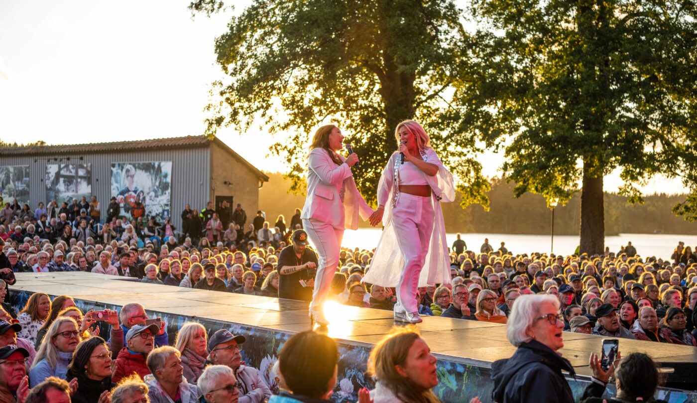 ARTISTER DIGGILOO 2025!